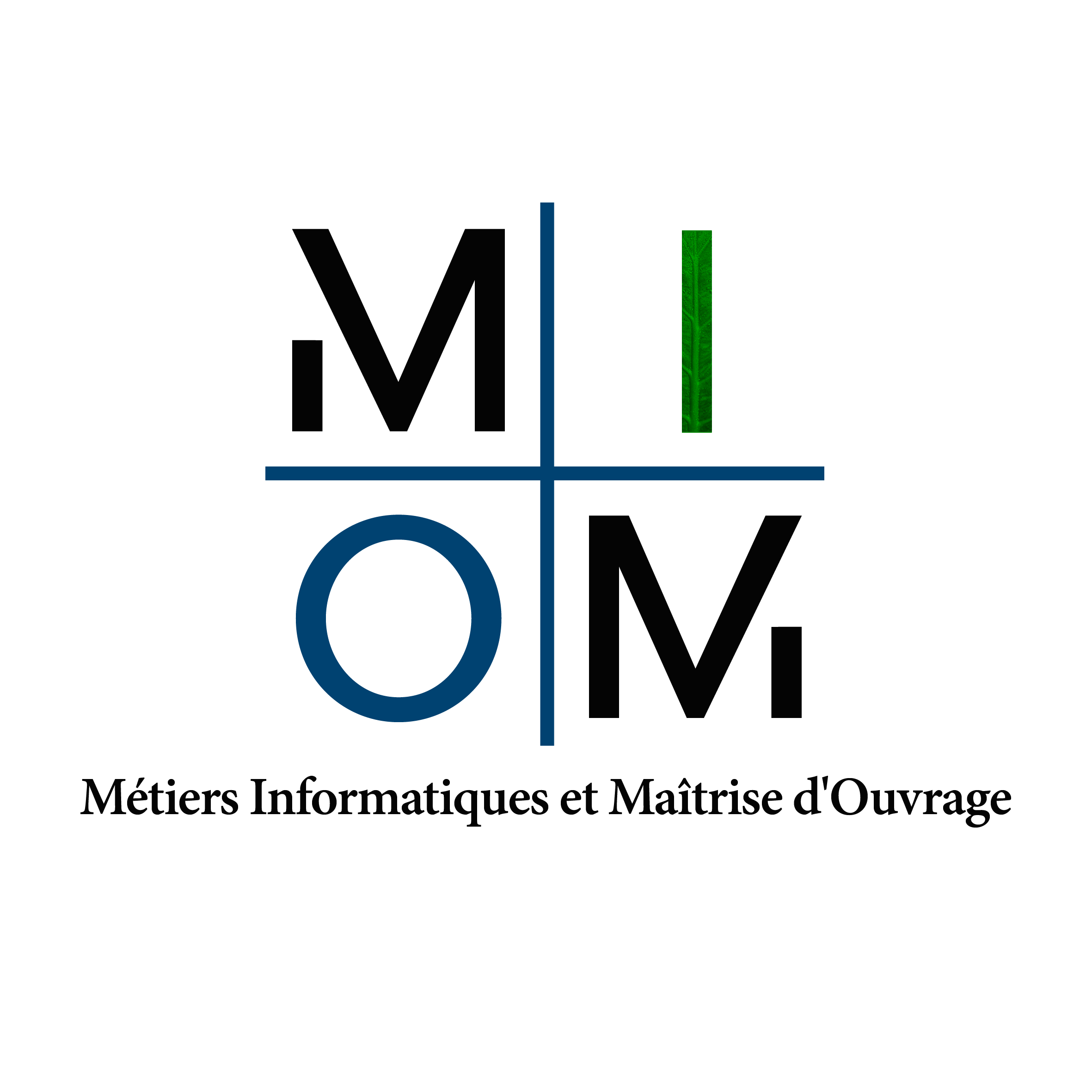 Présentation de la formation - diplome - histoire-master-informatique-mimo